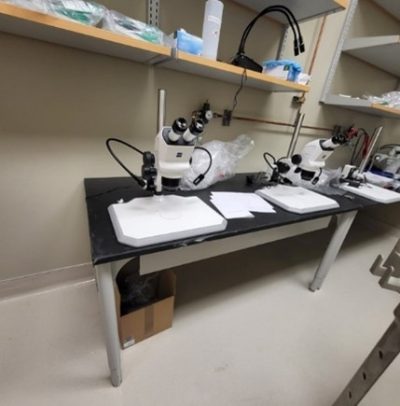 Lab News – Chung Lab | Houston Methodist